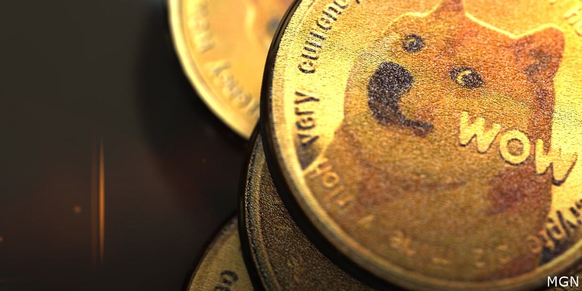 Shiba Inu Kabosu, the face of ‘Doge’ meme and Dogecoin, has died Shiba Inu Kabosu, the face of ‘Doge’ meme and Dogecoin, has died