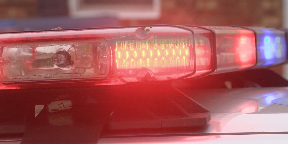 Omaha Police: passenger dies in single-vehicle crash, driver flees scene Omaha Police: passenger dies in single-vehicle crash, driver flees scene